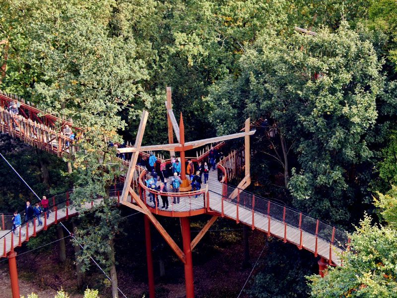 Ivenacker Eichen (mit Baumwipfelpfad)