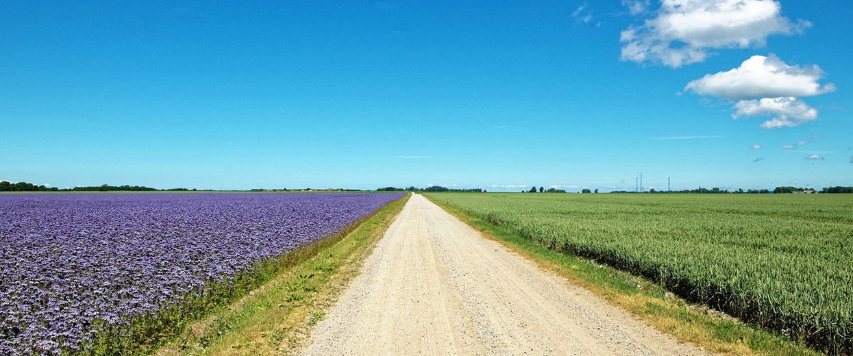 Schaprode - nützliche Tourismus-Informationen