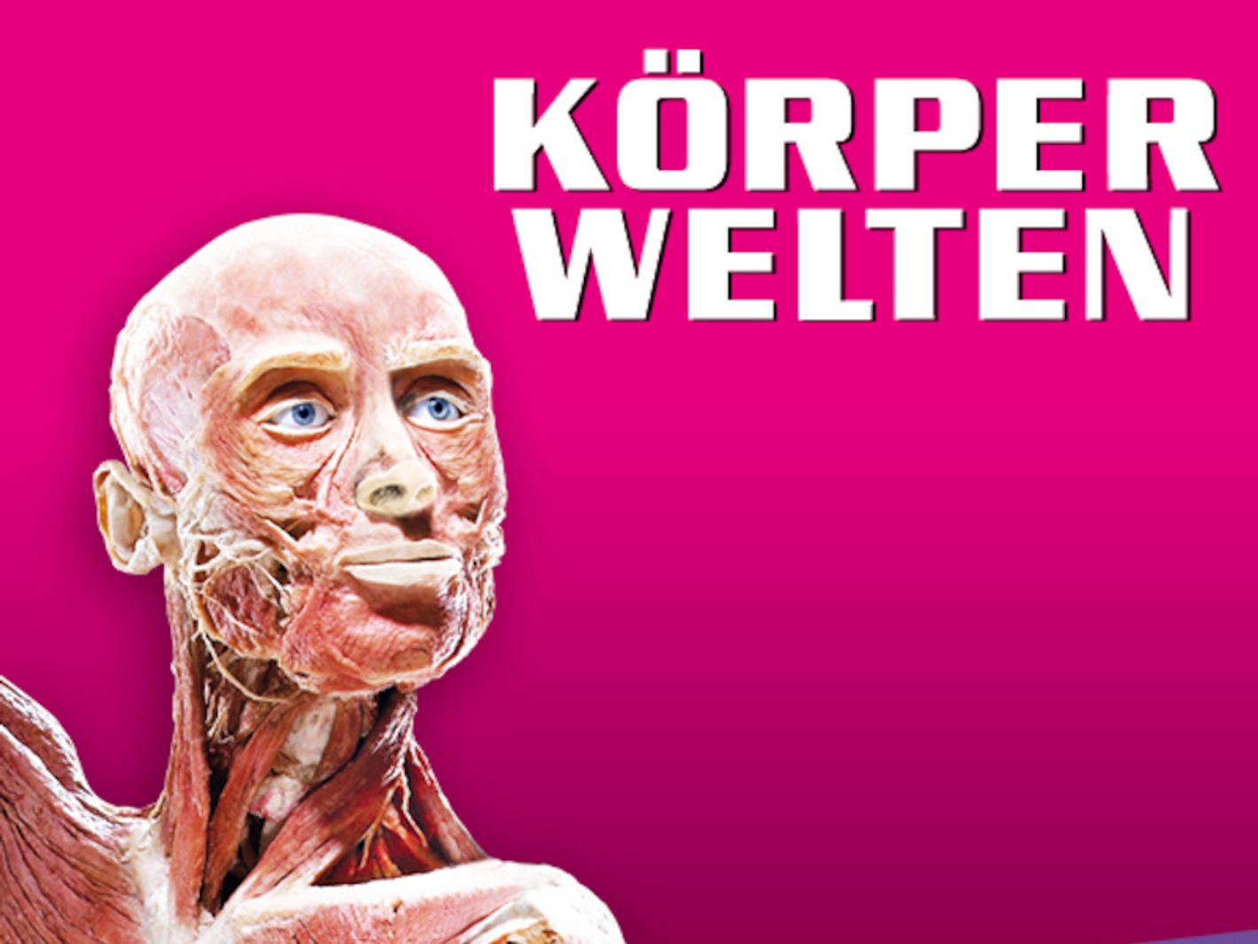 KÖRPERWELTEN | Münster | Zeitfensterticket - MCC Halle Münsterland