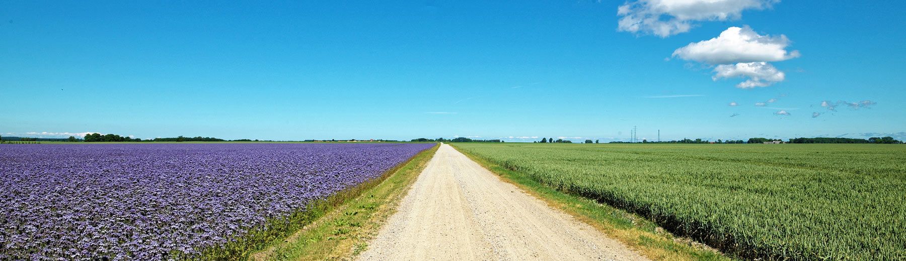 Schaprode - nützliche Tourismus-Informationen