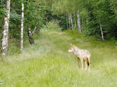 Veranstaltungen im Ostseebad Wustrow