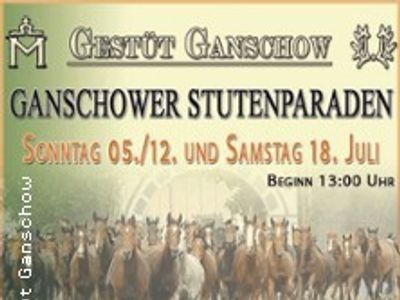 Sportveranstaltungen in Mecklenburg-Vorpommern