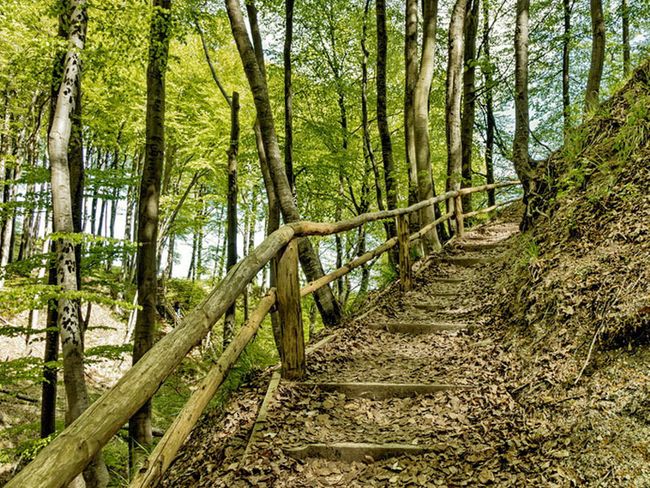 Sassnitz - nützliche Tourismus-Informationen