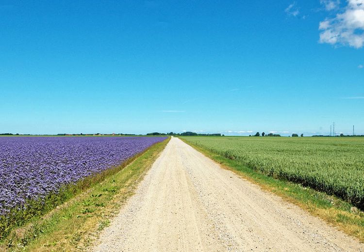 Schaprode - nützliche Tourismus-Informationen