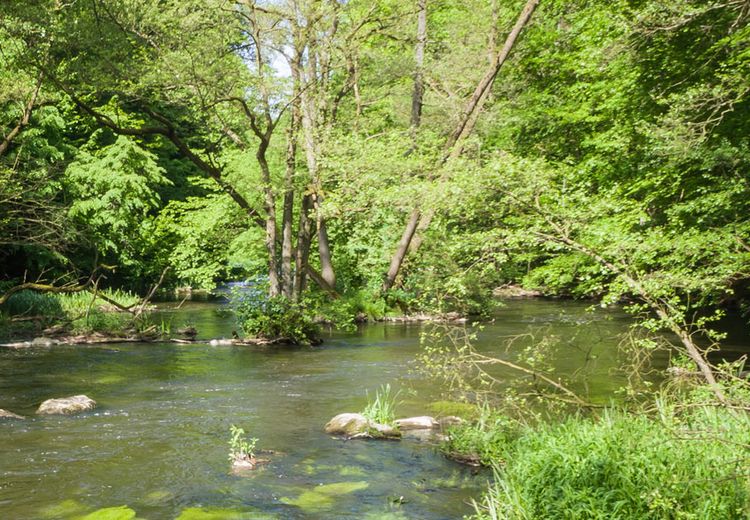 Sternberg - nützliche Tourismus-Informationen