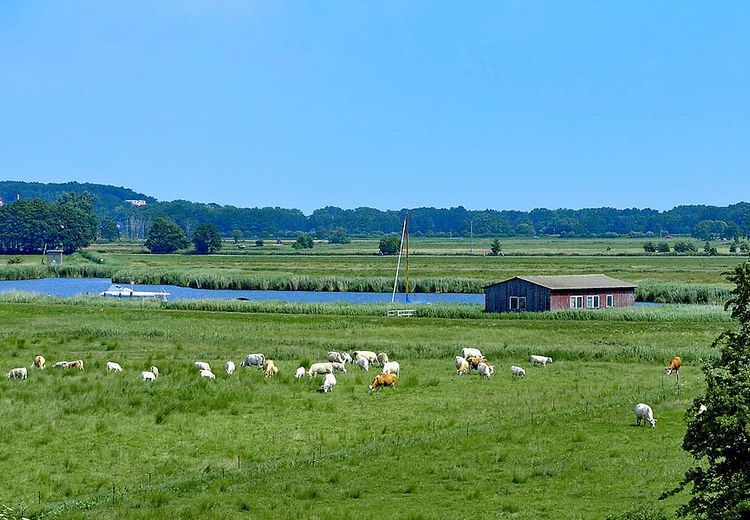 Seebad Loddin-Kölpinsee - nützliche Tourismus-Informationen